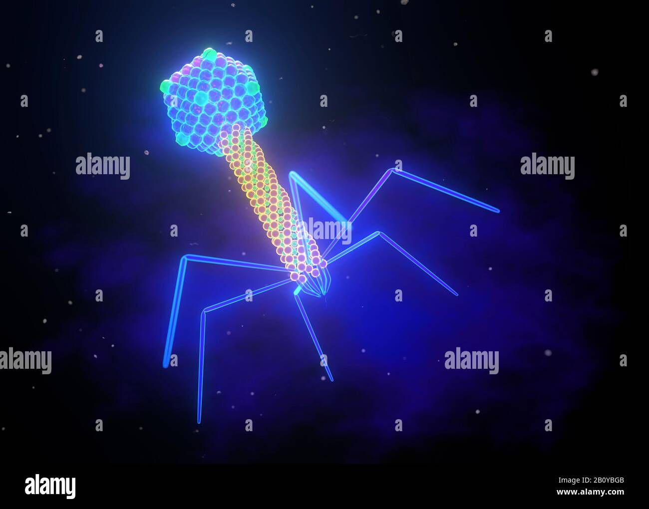 Phages hi-res stock photography and images - Alamy