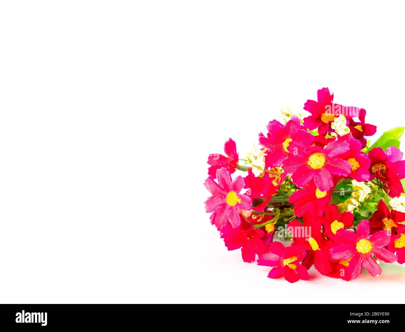 Yellow and red bouquets of flowers on a white background Stock Photo ...