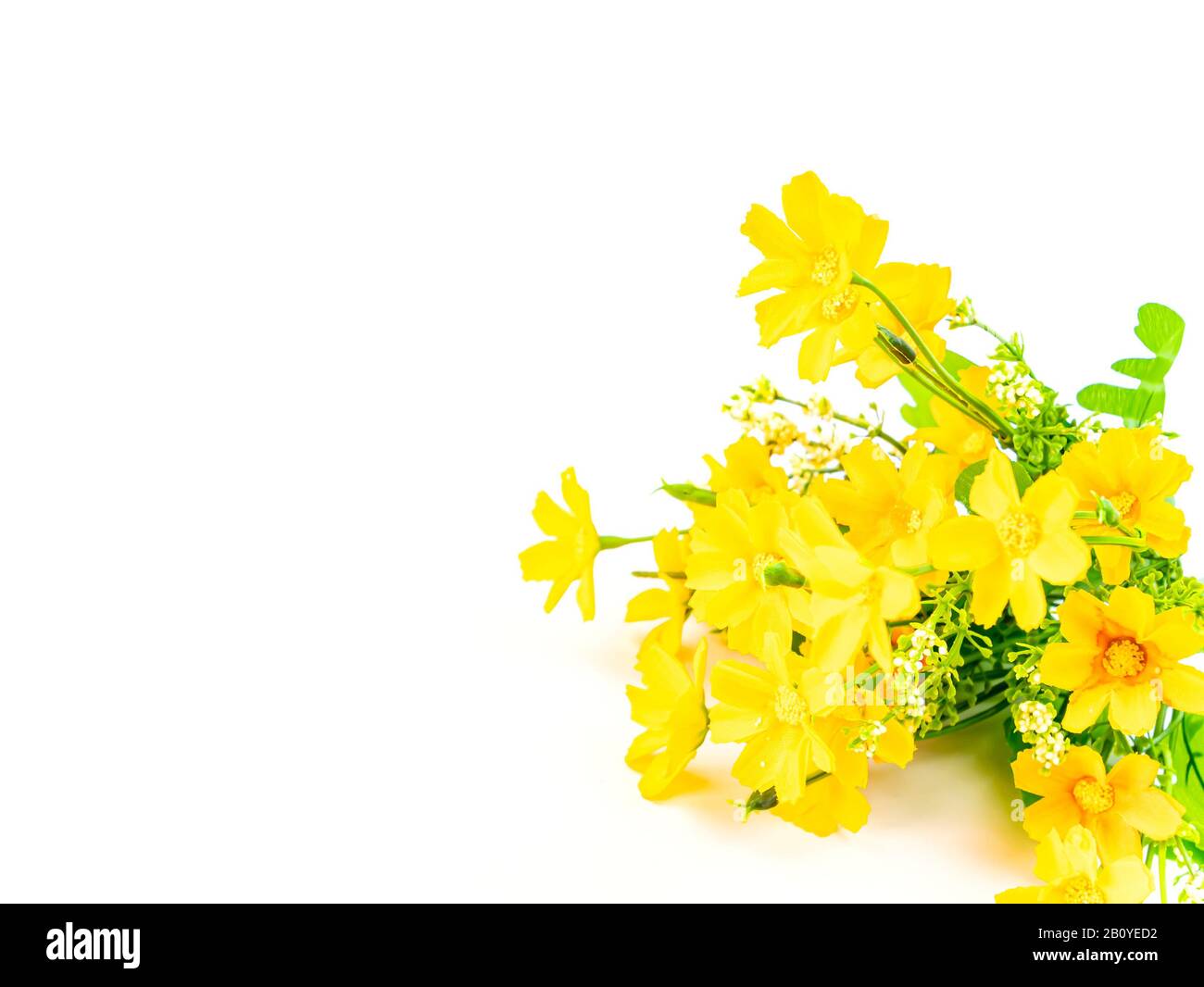 Yellow and red bouquets of flowers on a white background Stock Photo ...