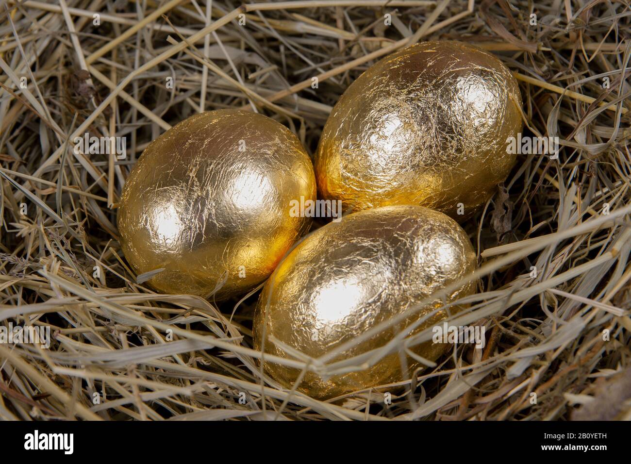 Golden eggs in a nest top view. Concept easter Stock Photo - Alamy