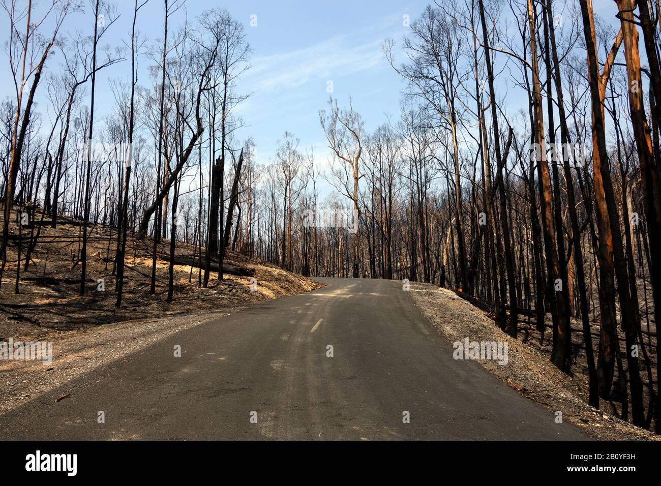 Driving through the devastation following the Australian summer ...