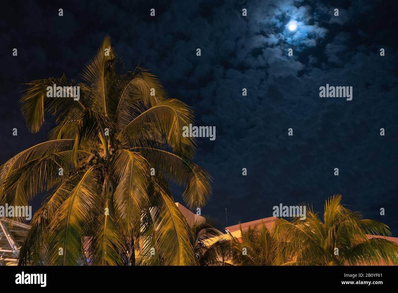 luxury caribbean resort at night, dawn time moon in sky Stock Photo - Alamy