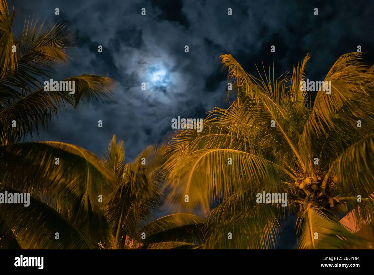 luxury caribbean resort at night, dawn time moon in sky Stock Photo - Alamy