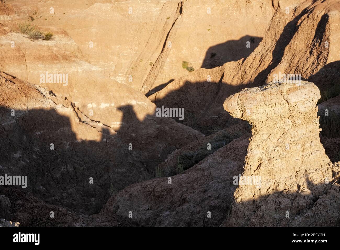 SD00179-00...SOUTH DAKOTA - A toadstool type rock formation in Badlands ...