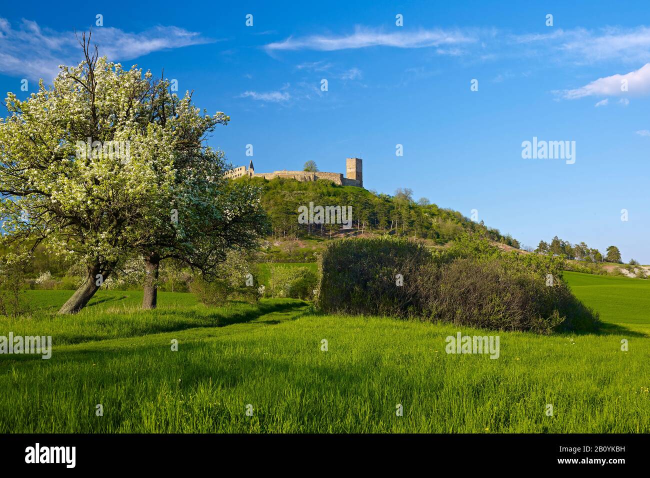 Gleichen castle hi-res stock photography and images - Alamy