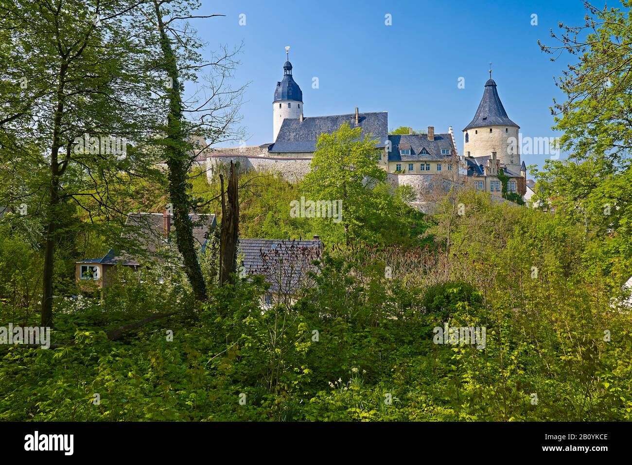 Altenburg Castle with Hausmann Tower and bottle, Thuringia, Germany ...