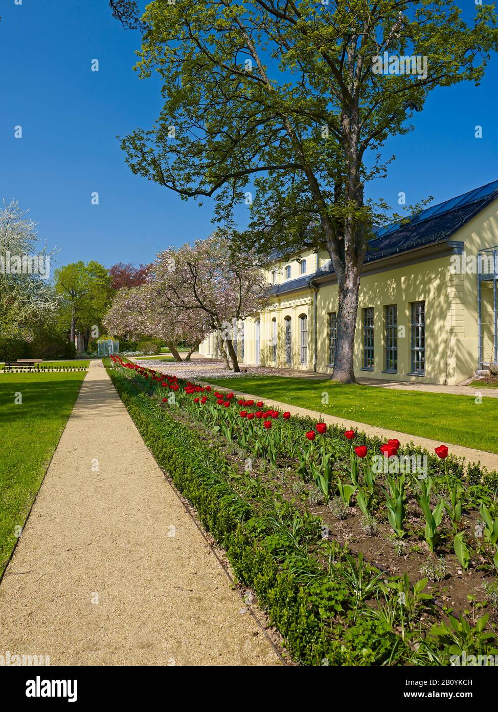 Orangery in the castle park of Altenburg, Thuringia, Germany Stock ...