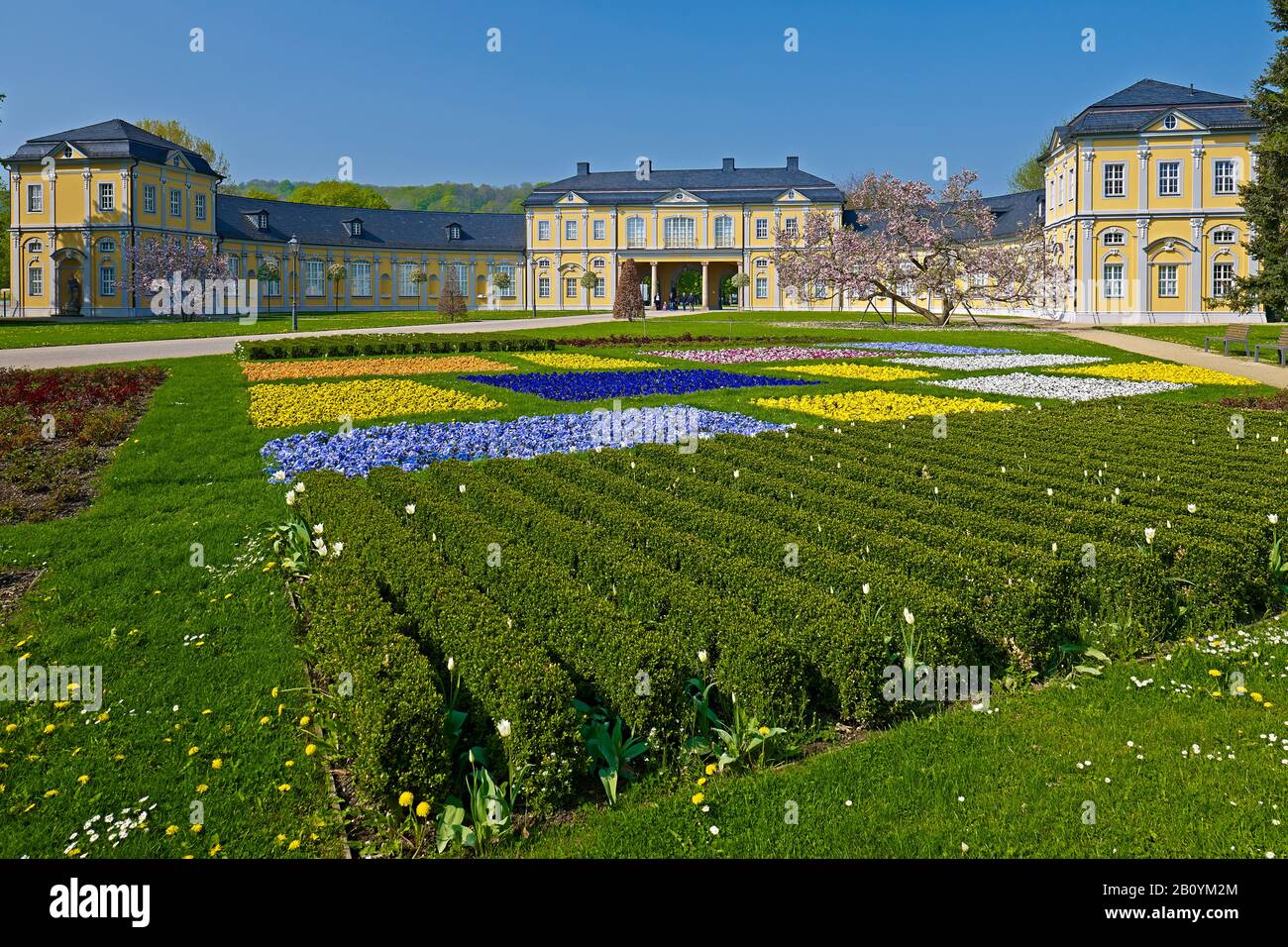 Orangery with carpet bed in Gera, Thuringia, Germany Stock Photo - Alamy