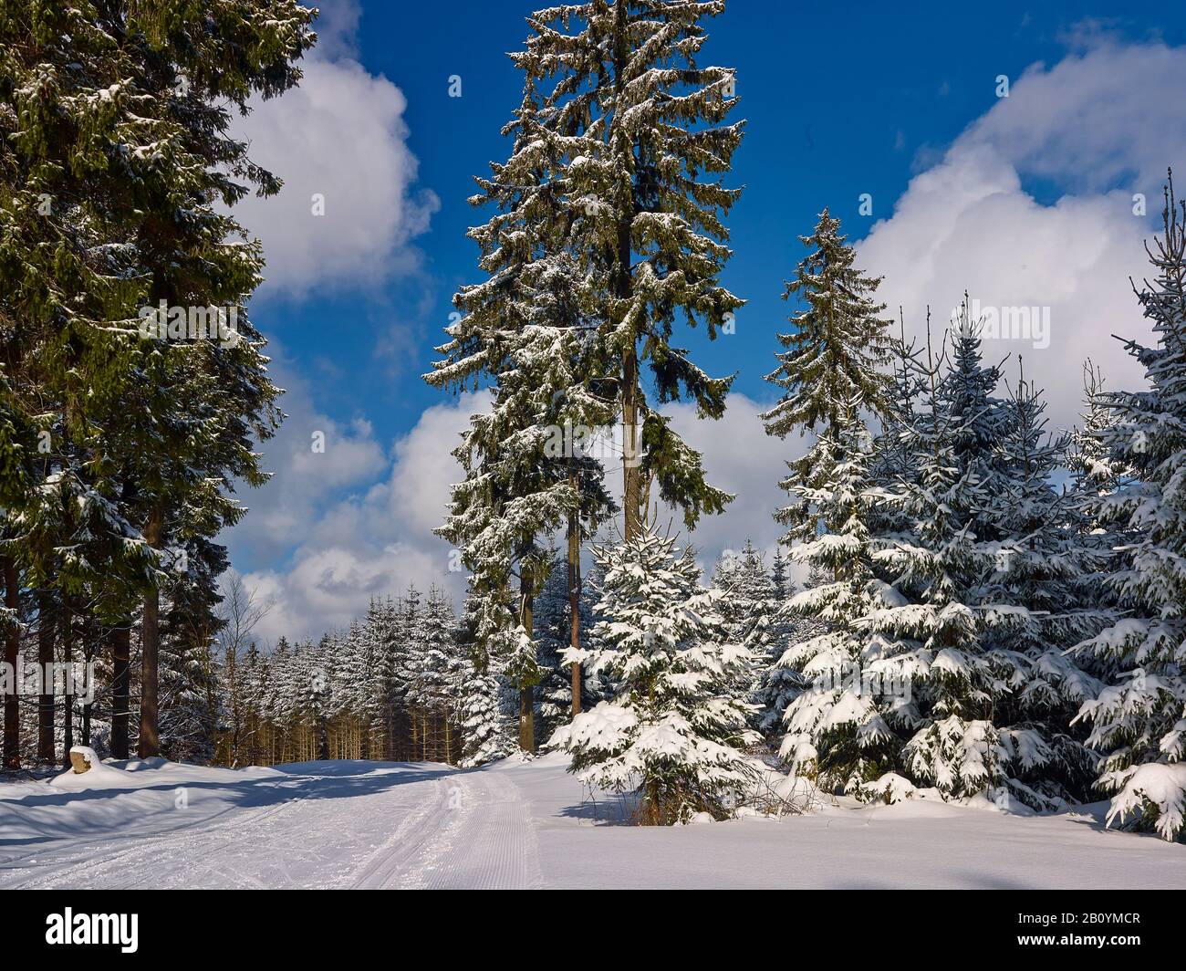 Am rennsteig hi-res stock photography and images - Alamy