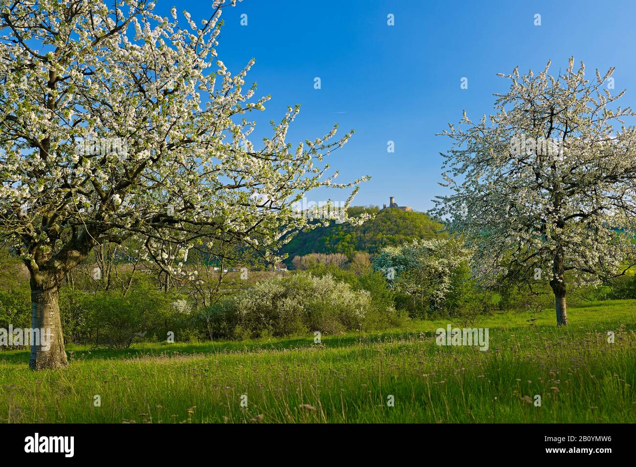 Muhlburg near muhlberg hi-res stock photography and images - Alamy