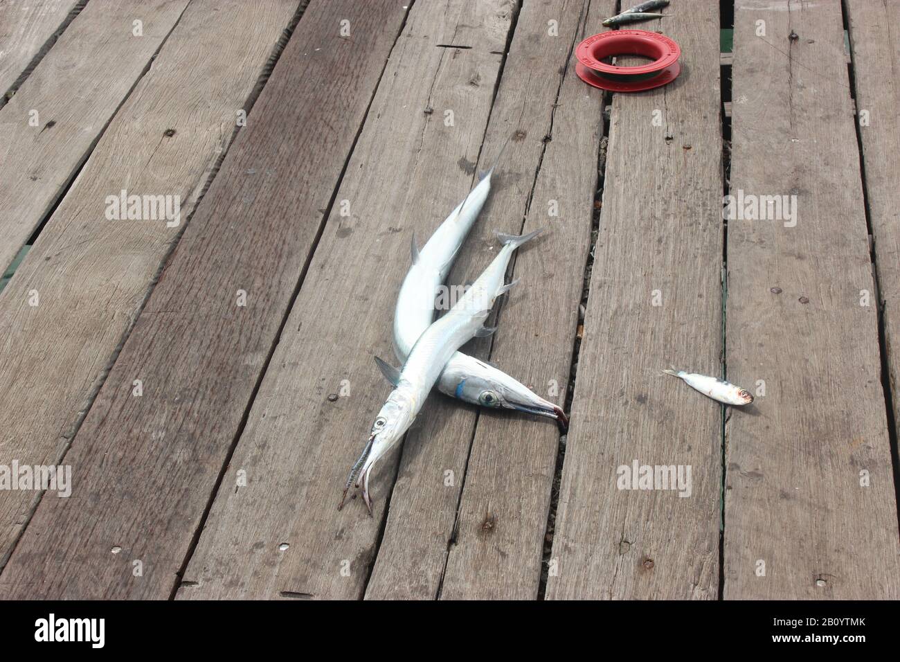 Fish on the wooden deck Stock Photo - Alamy