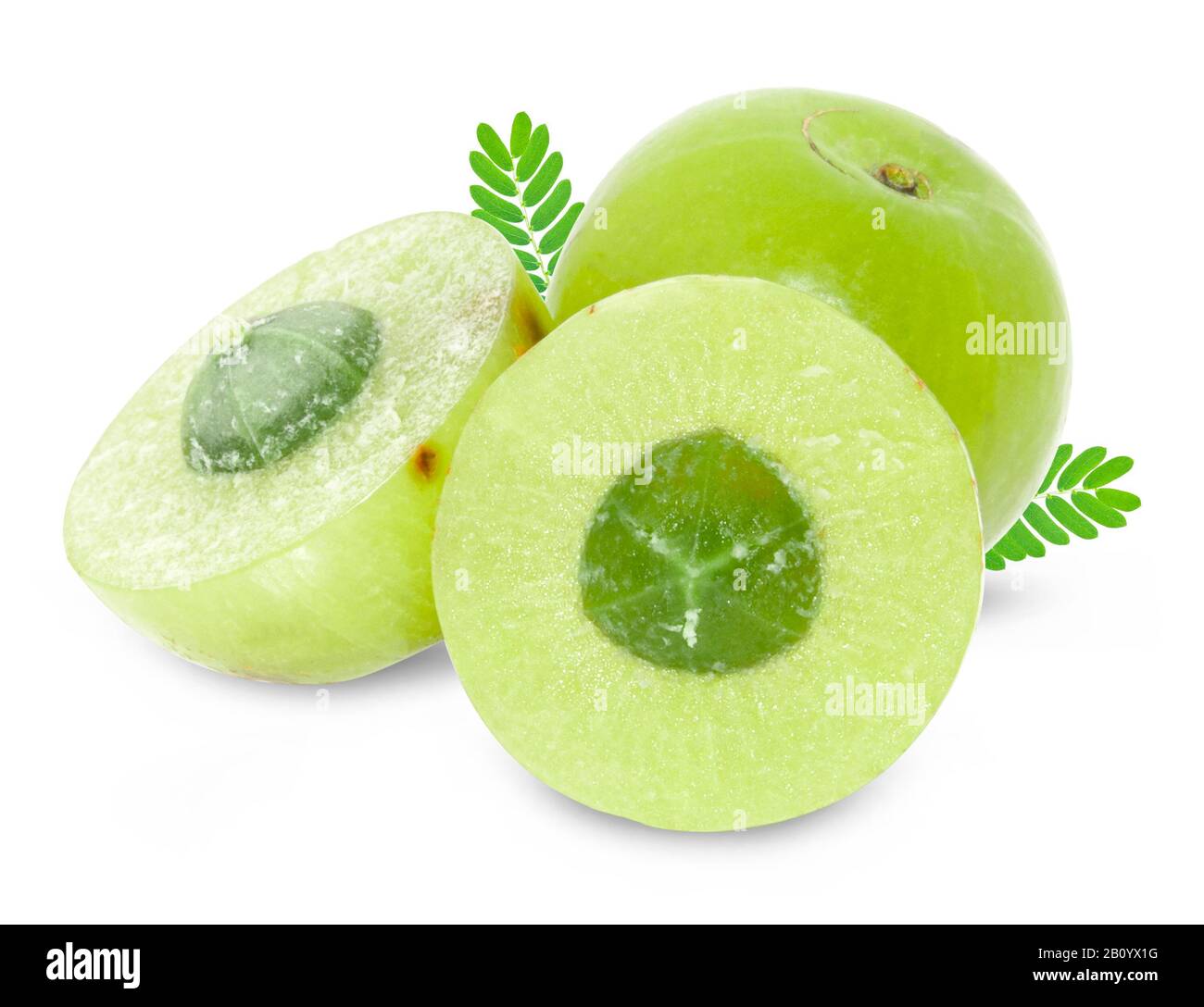 Amla green fruits ,Phyllanthus emblica isolated on white background ...
