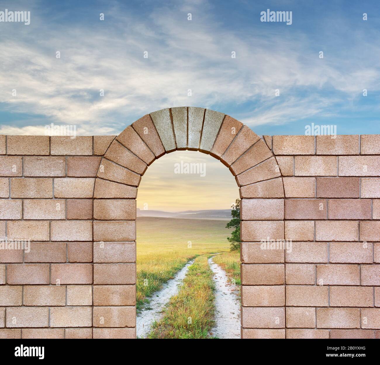 Arch from bricks and road to nature. Element of design Stock Photo - Alamy