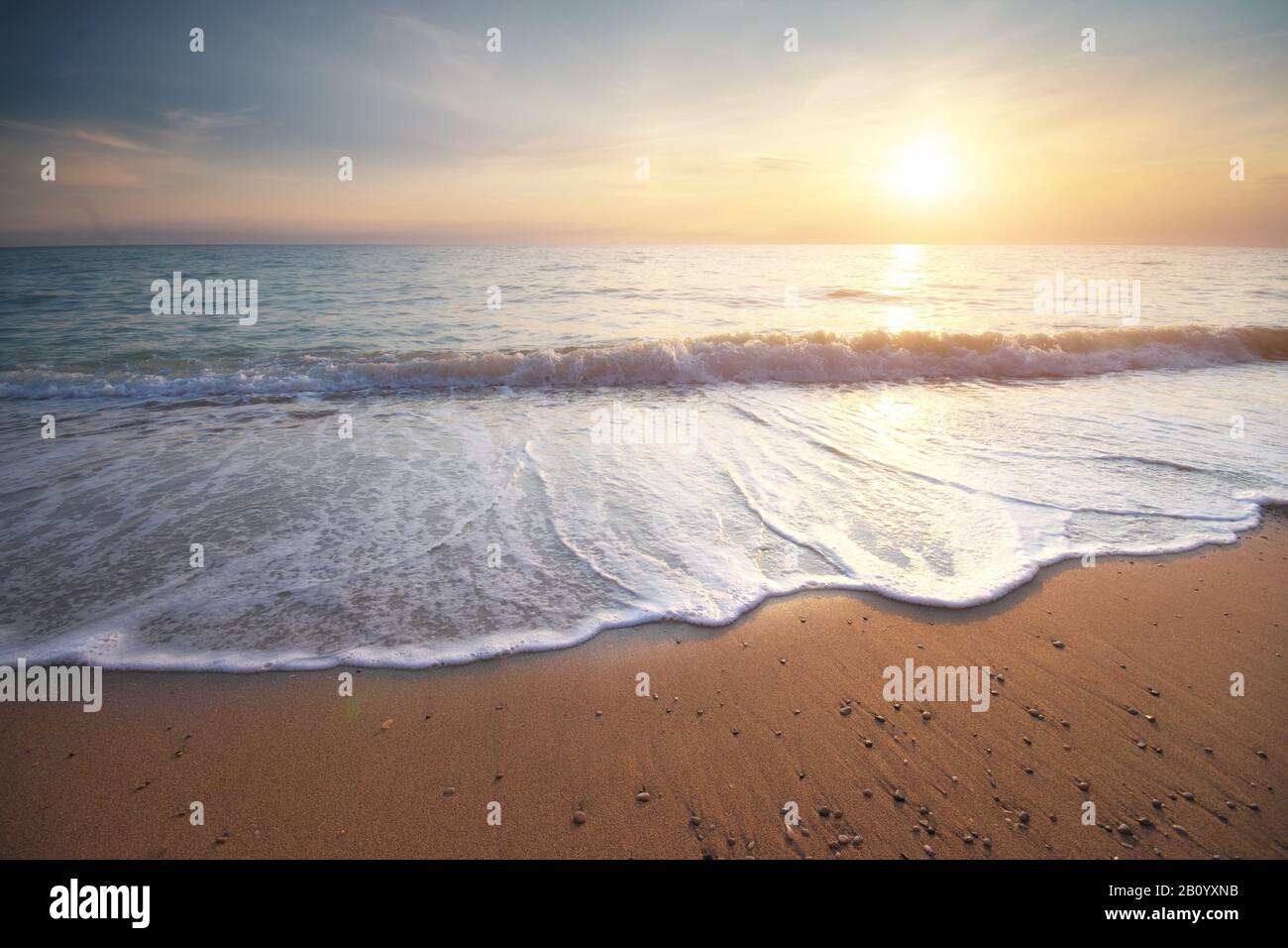 Summer on the sea beach. Element of design Stock Photo - Alamy
