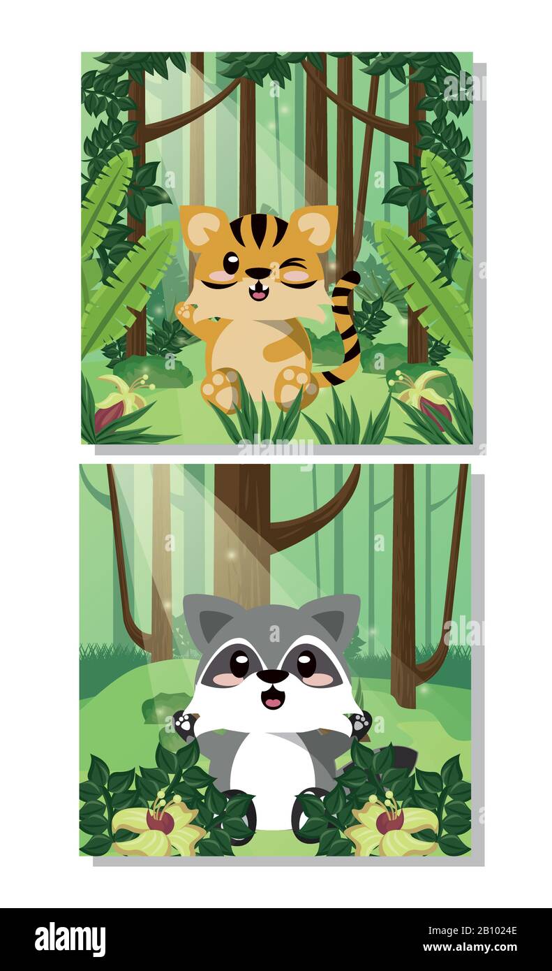 Animal raccoon portrait Cut Out Stock Images & Pictures - Alamy