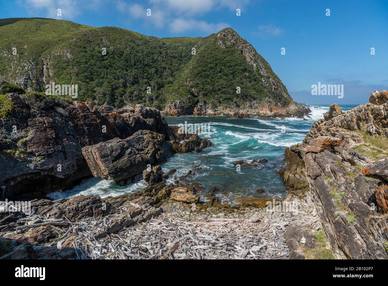 Garden Route National Park, Western Cape, South Africa Stock Photo - Alamy