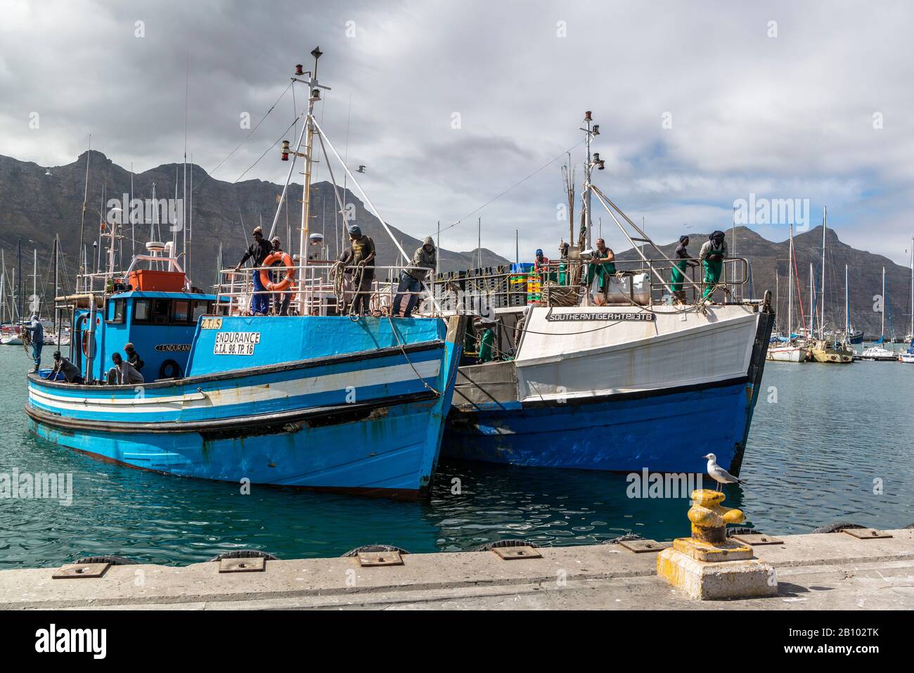 Fishing vessel boat load fish hi-res stock photography and images - Alamy