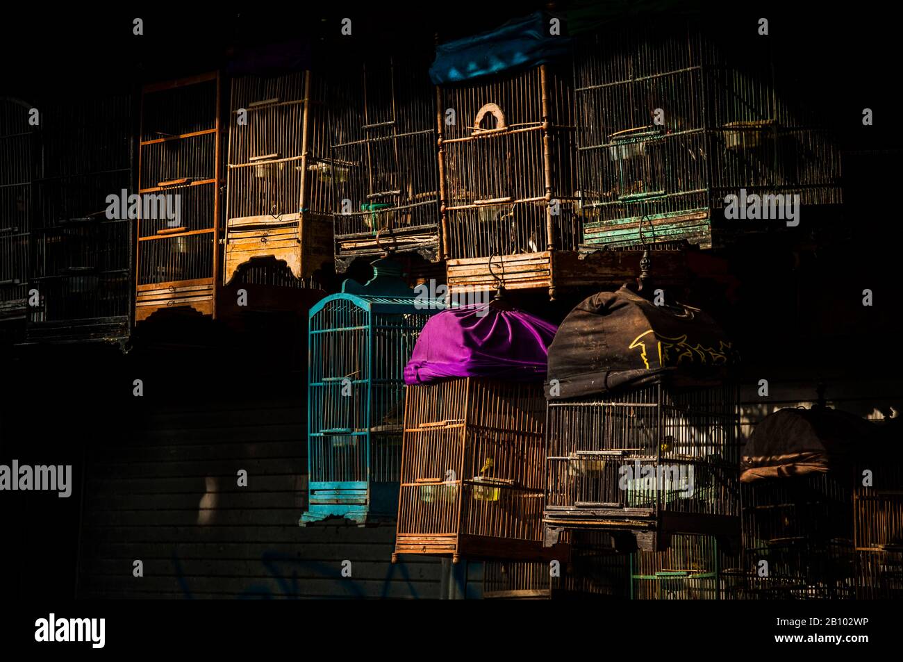 Light and shadow over the bird cages hi-res stock photography and ...