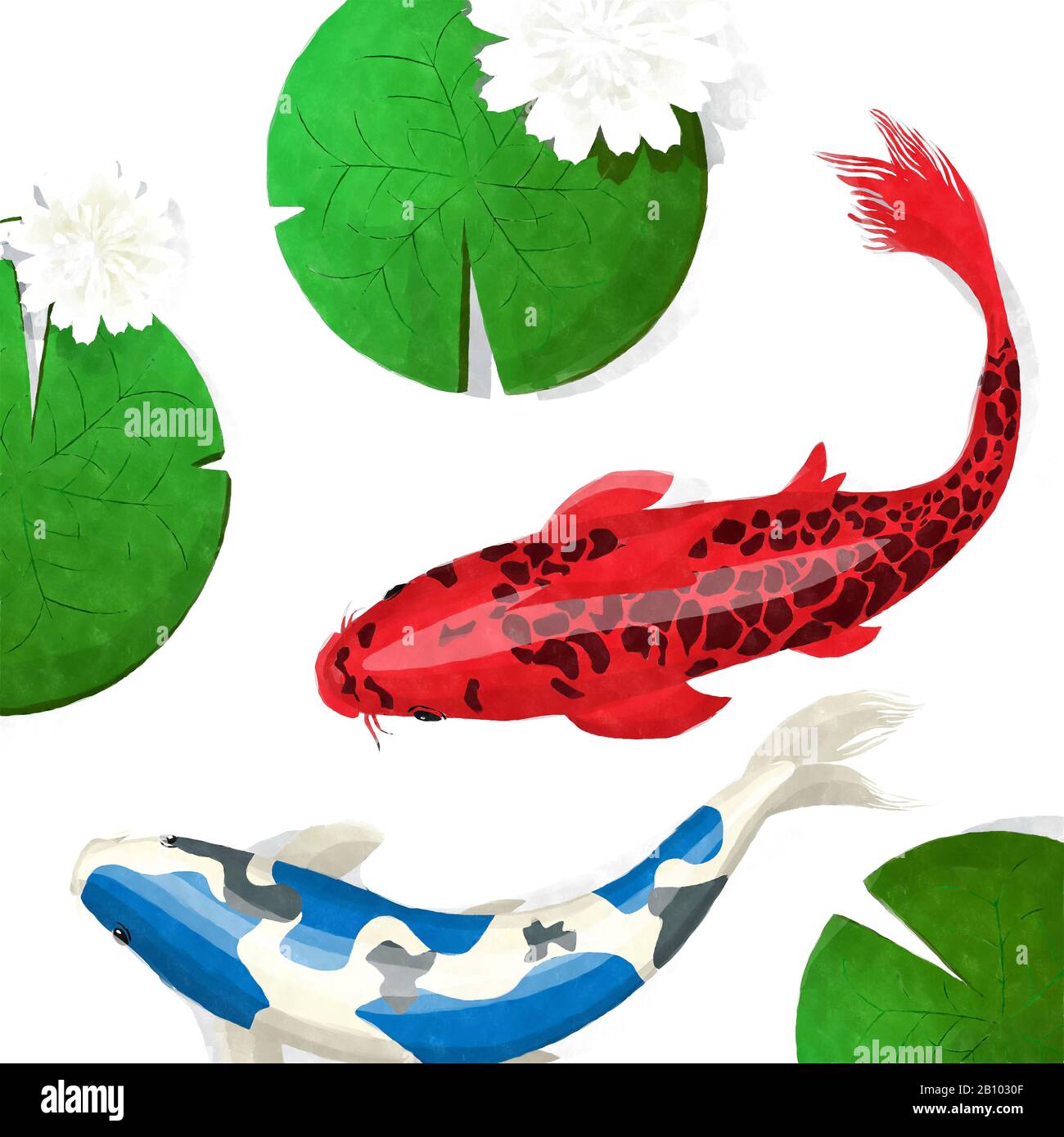 Koi Flower Drawing