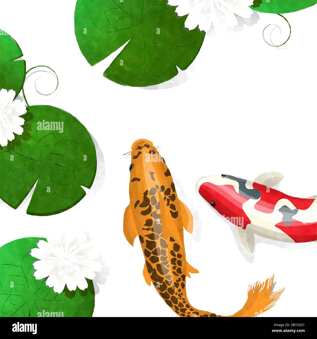 Koi Fish And Lotus Flower Drawing Koi Fish And Lotus Flowers By