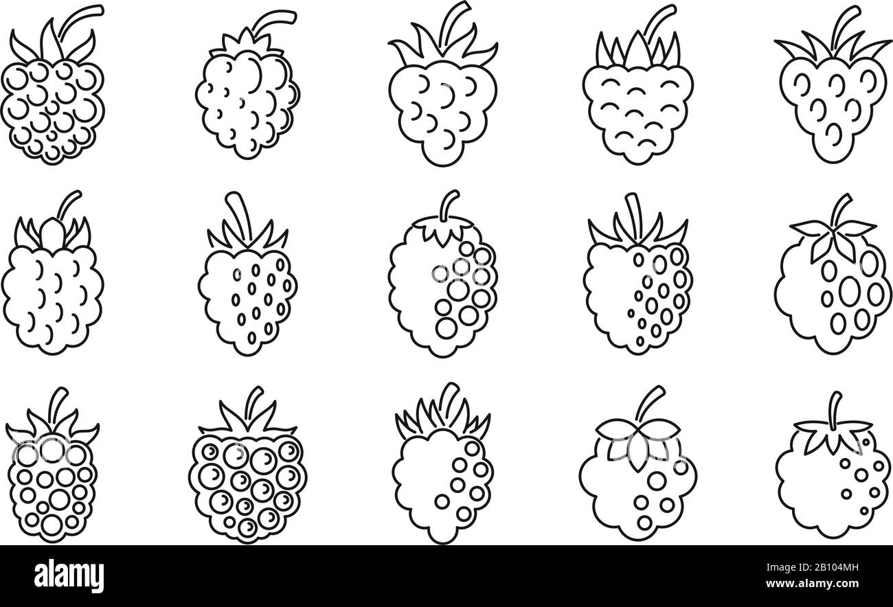 Raw blackberry icons set. Outline set of raw blackberry vector icons ...