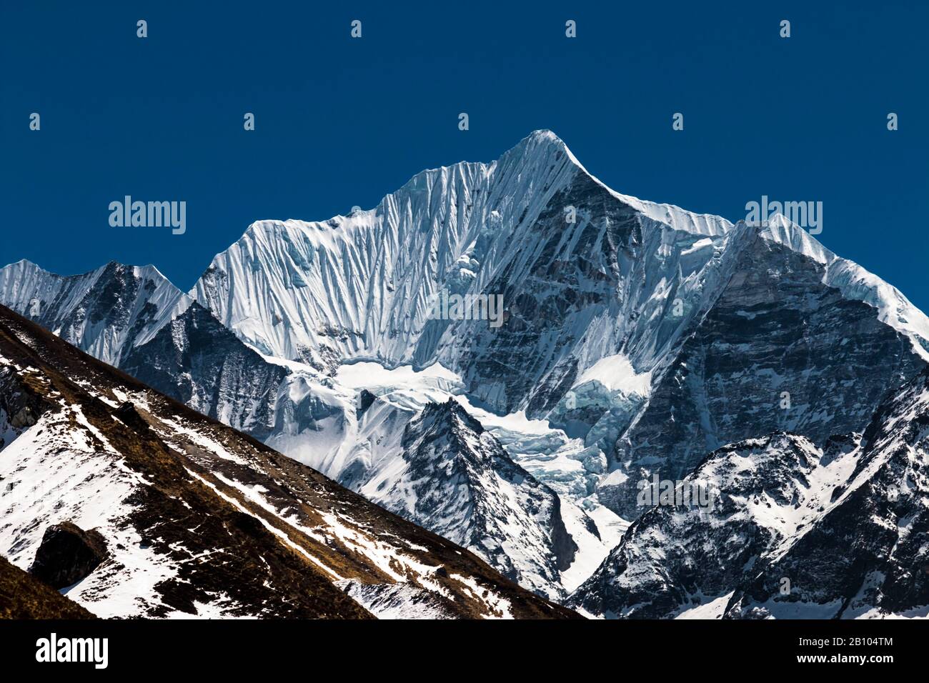 Mount Gangchempo, Langtang Valley, Rasuwa, Nepal Stock Photo - Alamy