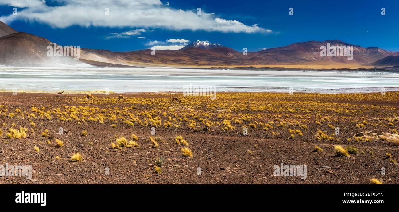 Panoramic view one salt hi-res stock photography and images - Alamy
