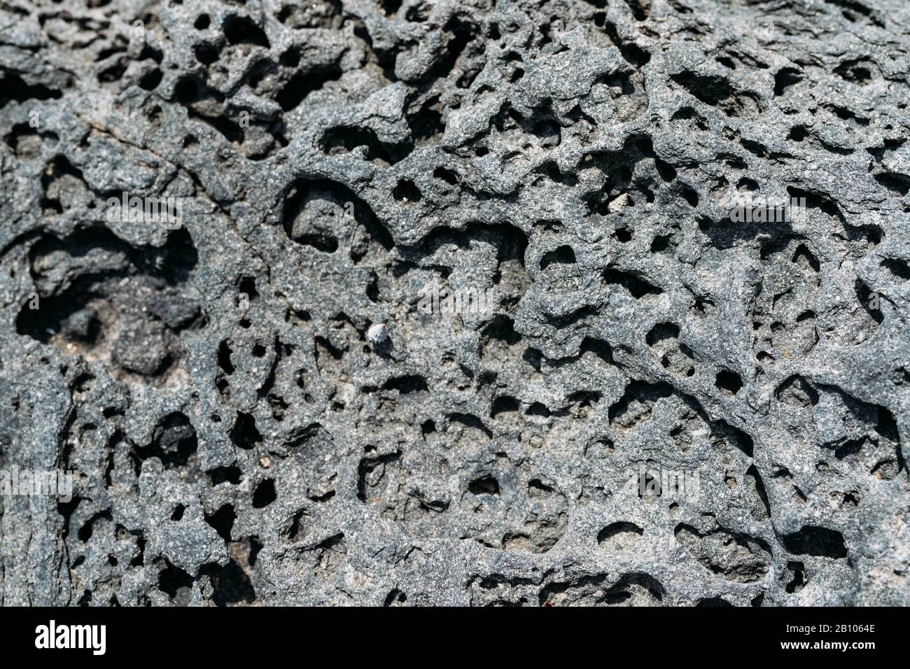 Stone texture, porous stone, rock. Background, texture of sea stone ...