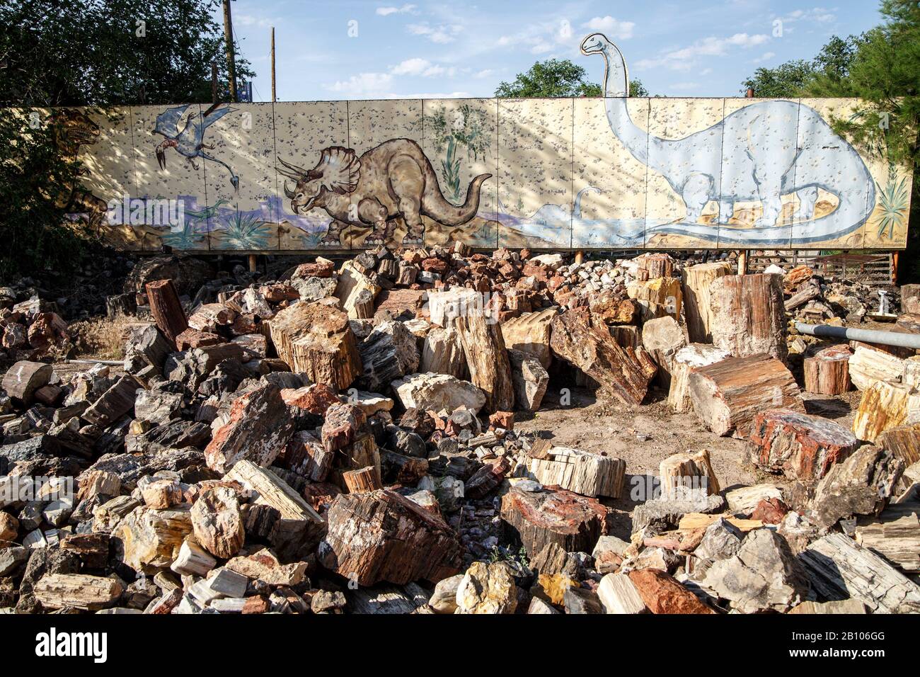 Petrified wood, Holbrook, Historic Route 66, Navajo County, Arizona ...