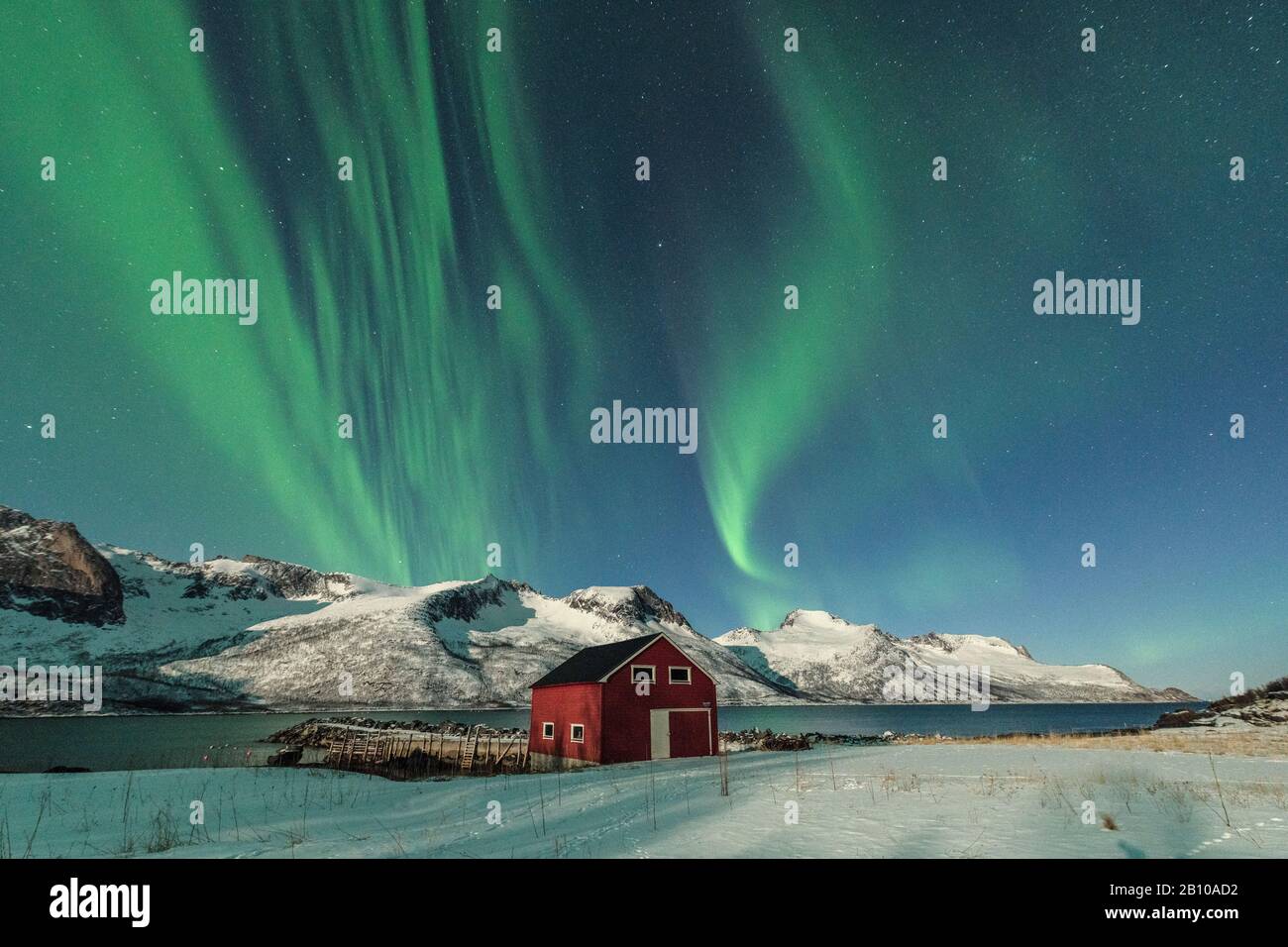 Northern lights over Baltsfjord at night, Senja, Norway Stock Photo - Alamy