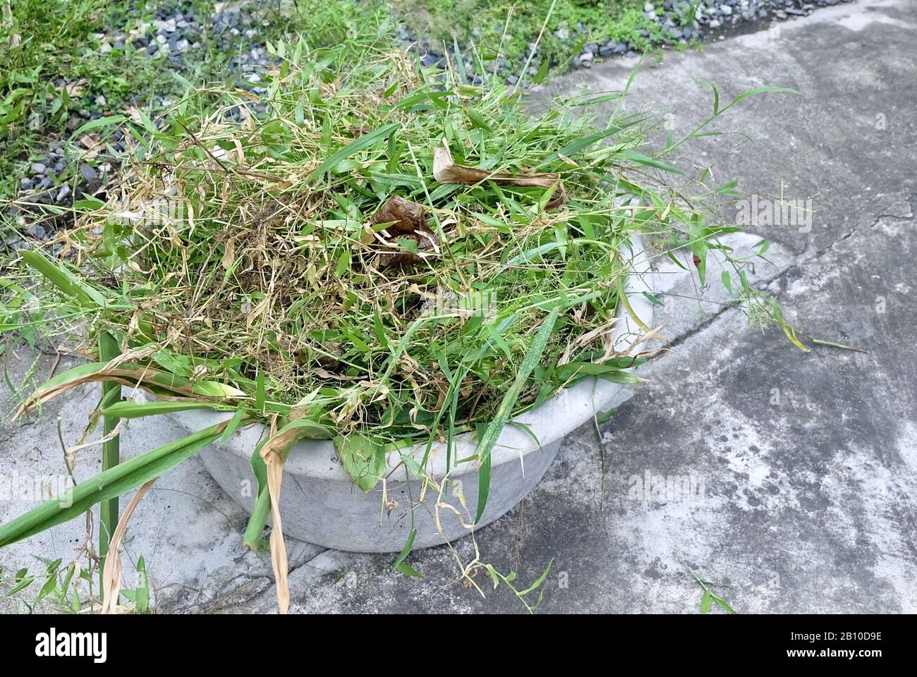 Ecology and Environment Concept, Pile of The Waste of Grass and Leaves ...