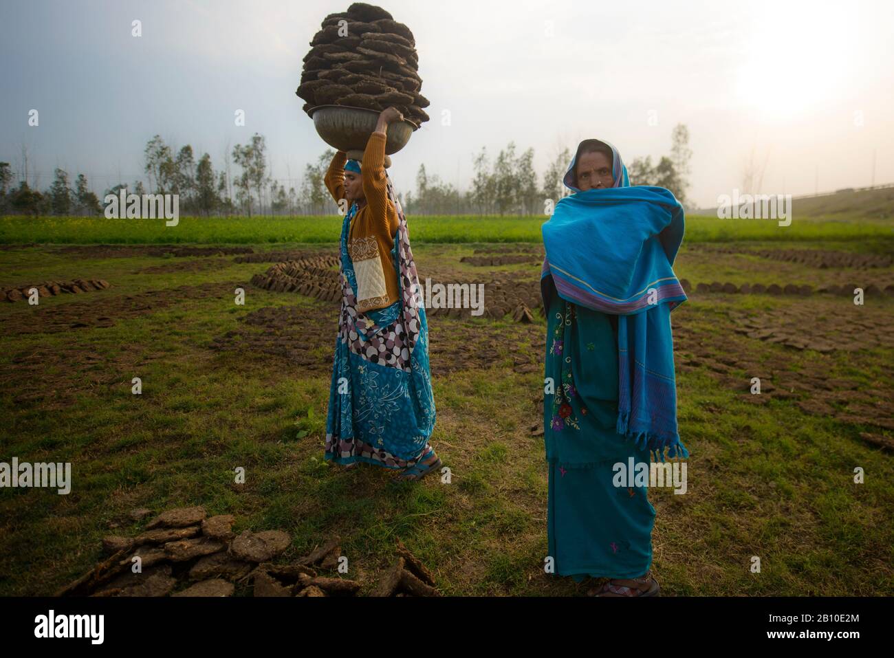Indian women carry dried manure as heating material hi-res stock ...