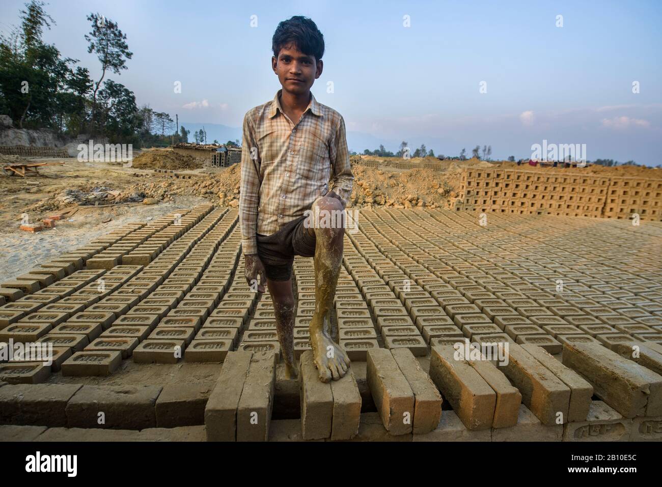 Worker of a brickyard, Mahendranagar, West Terai, Nepal Stock Photo - Alamy
