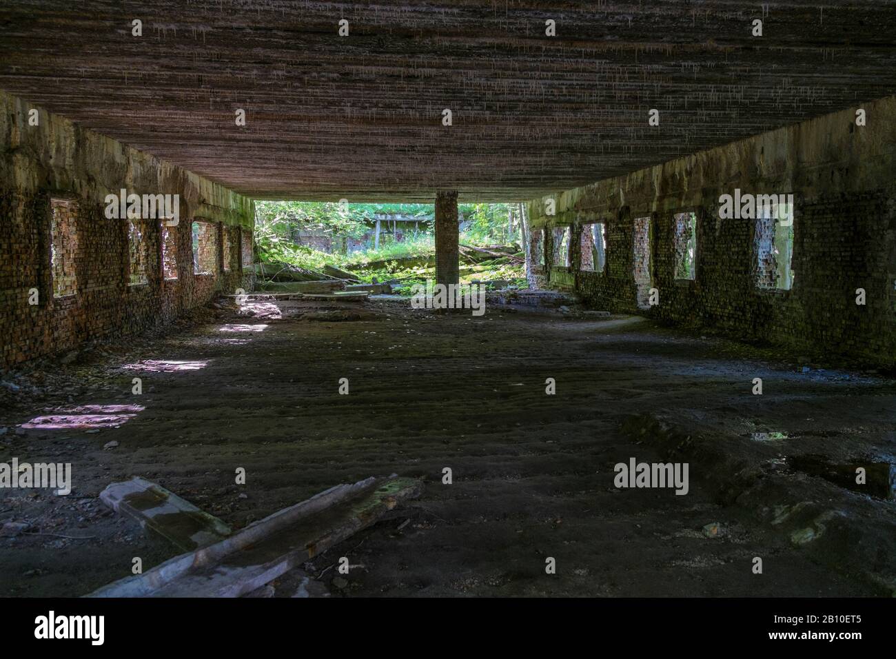 Wolfsschanze hi-res stock photography and images - Alamy