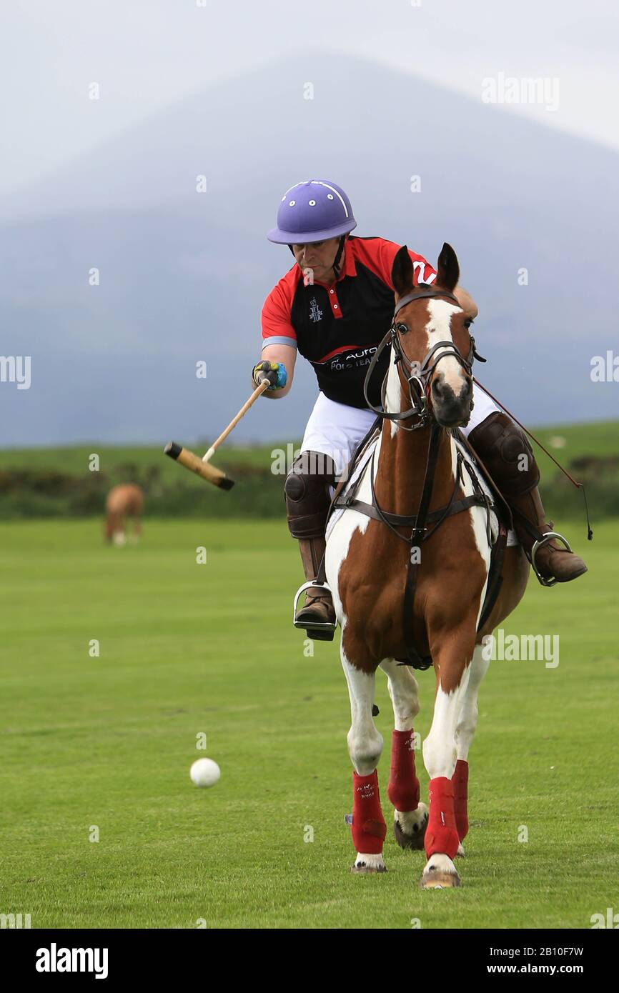 Tyrella House Polo player Richard Suitor at Tyrella House, County Down ...