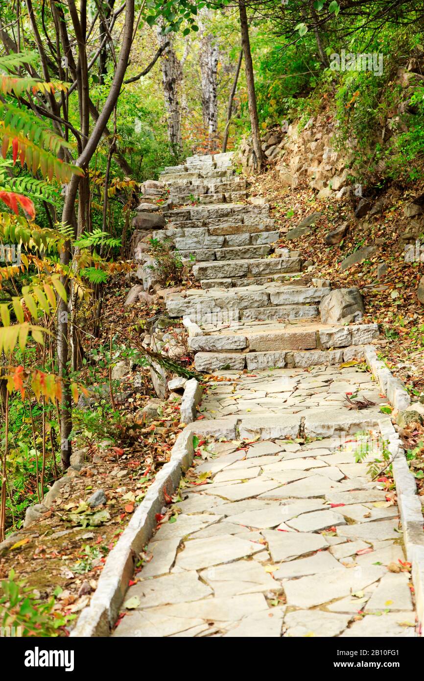 The mountain path Stock Photo - Alamy