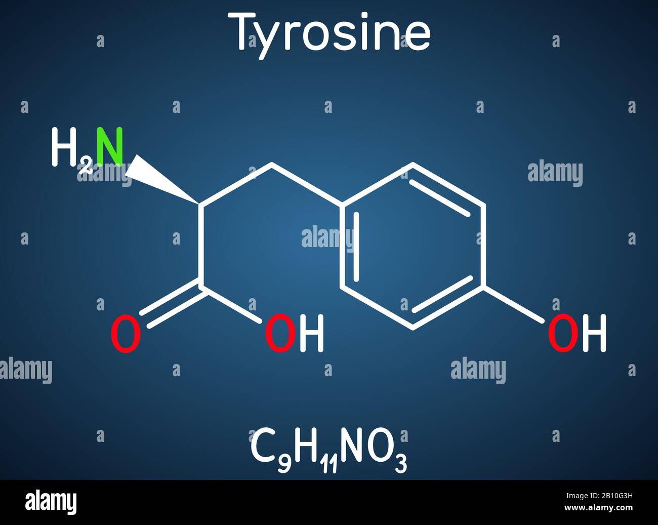 Amino Acid Molecule In Protein Synthesis