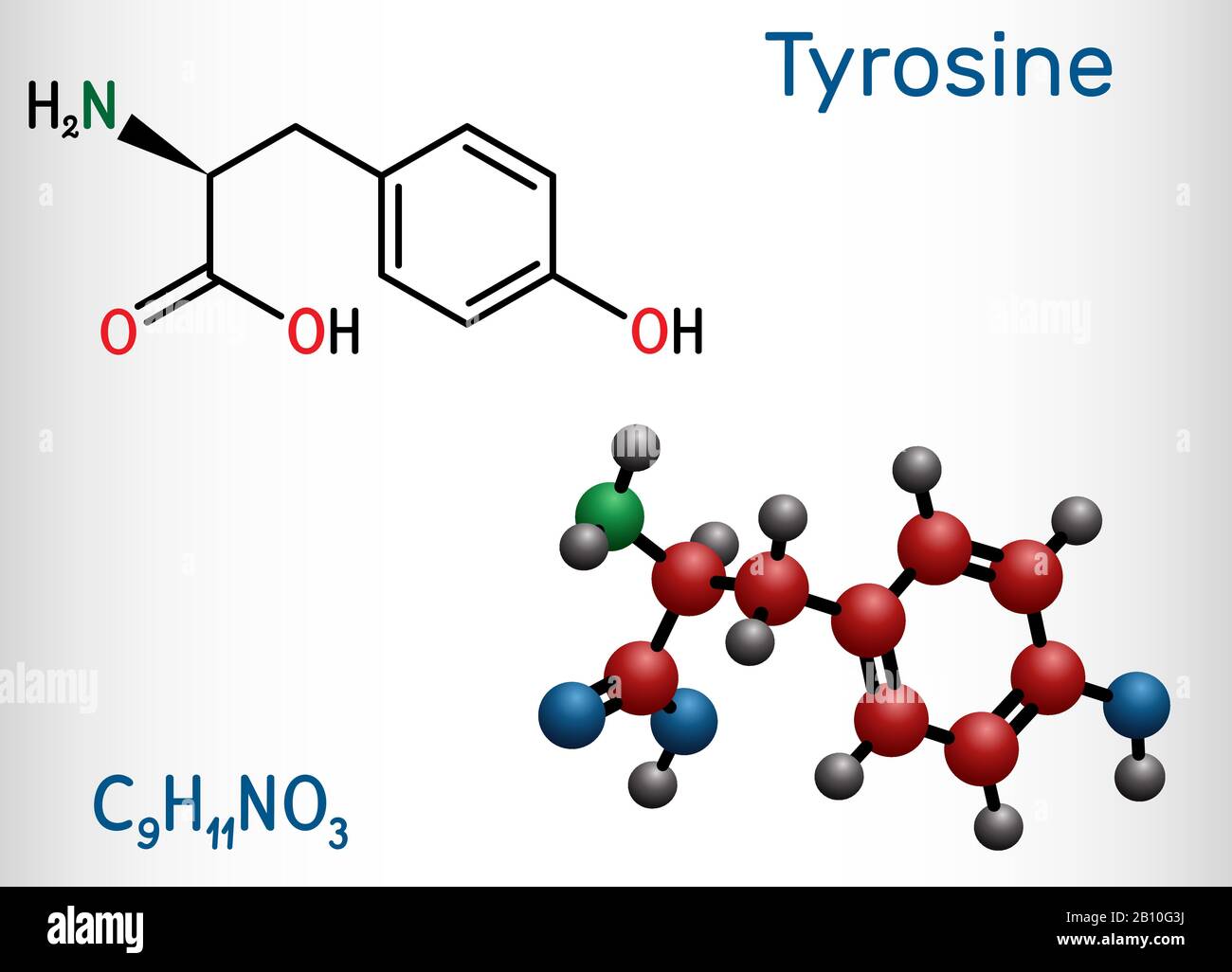 Tyrosine Synthesis