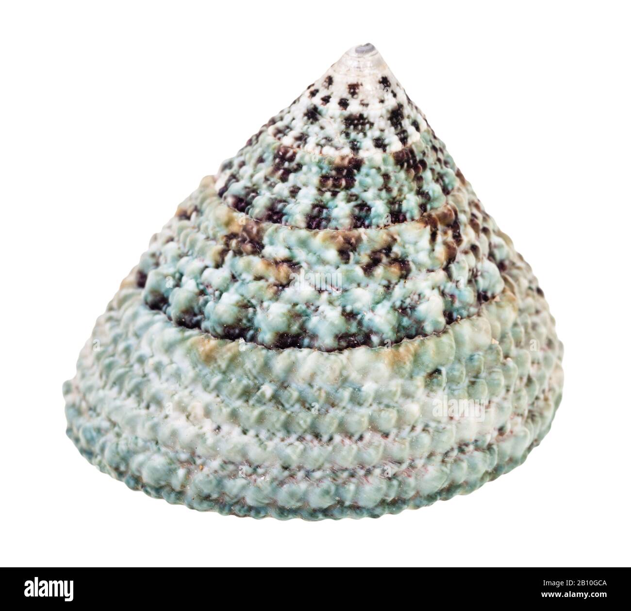 Slit detail Cut Out Stock Images & Pictures - Alamy