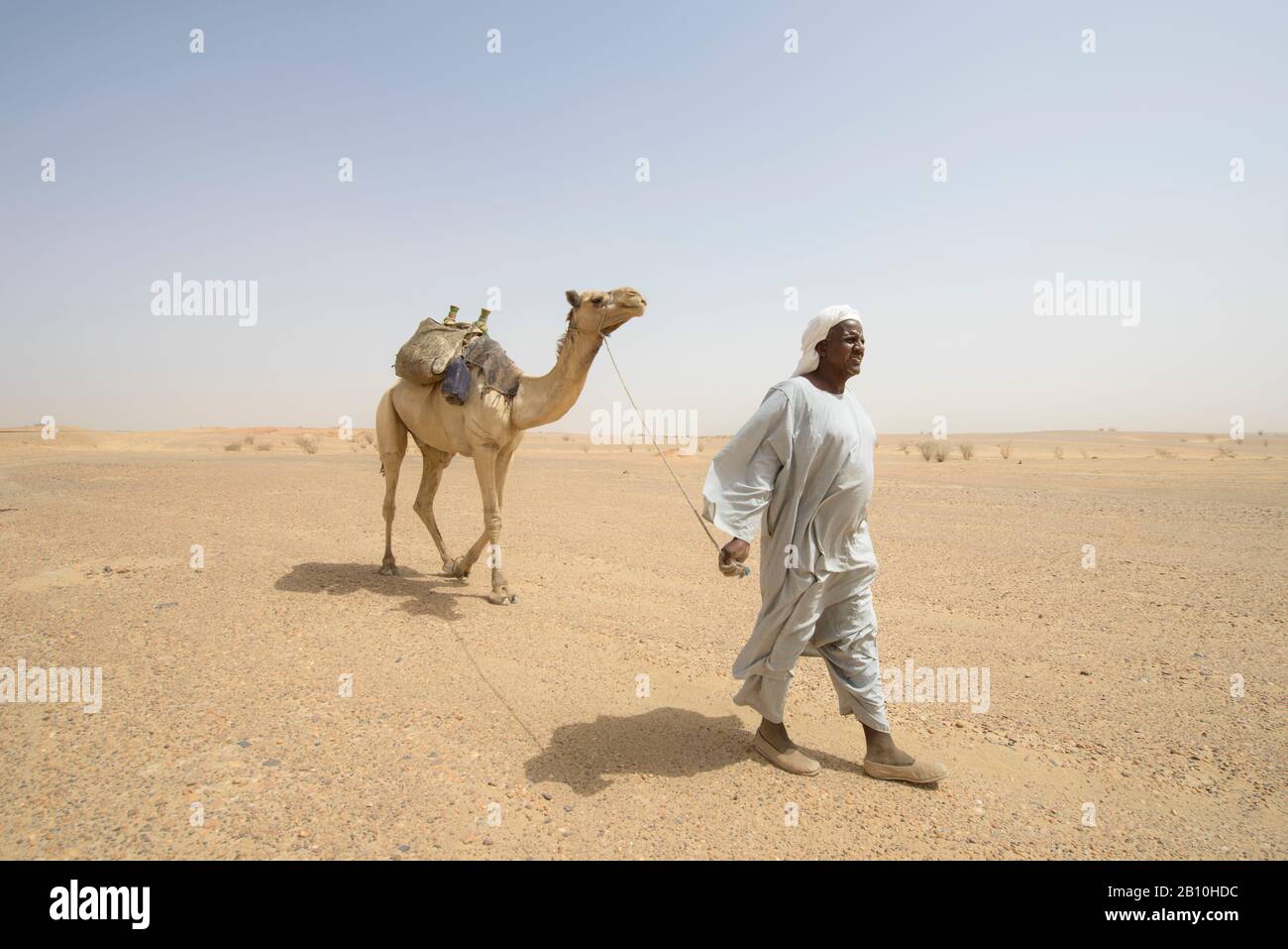 Sahara camel driver, Sudan Stock Photo - Alamy