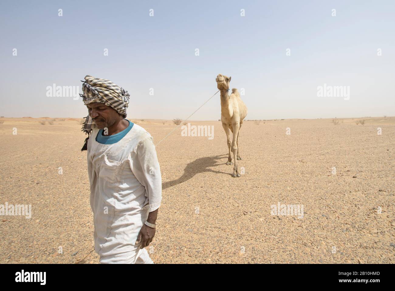 Sahara camel driver, Sudan Stock Photo - Alamy