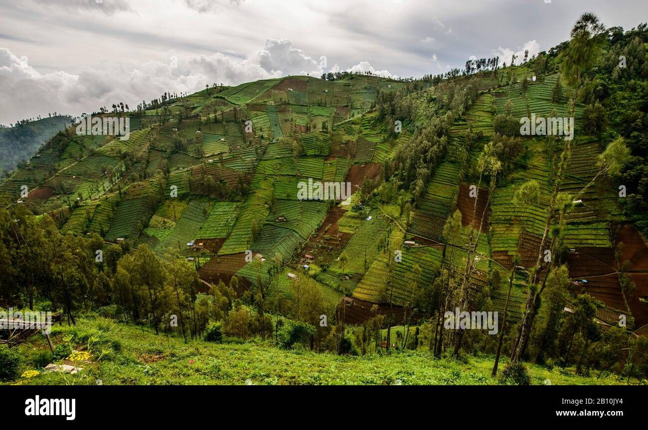 Java journey hi-res stock photography and images - Alamy
