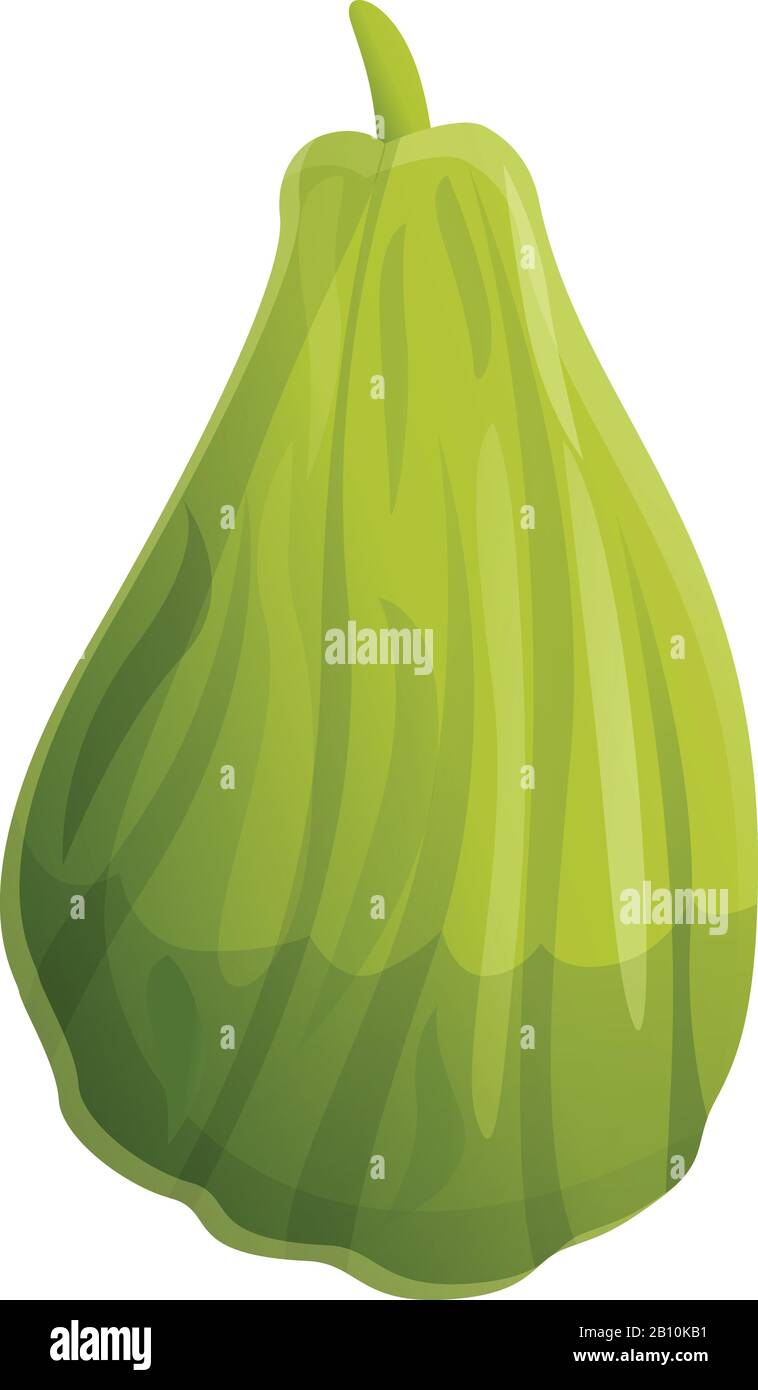 Tropical chayote icon. Cartoon of tropical chayote vector icon for web ...