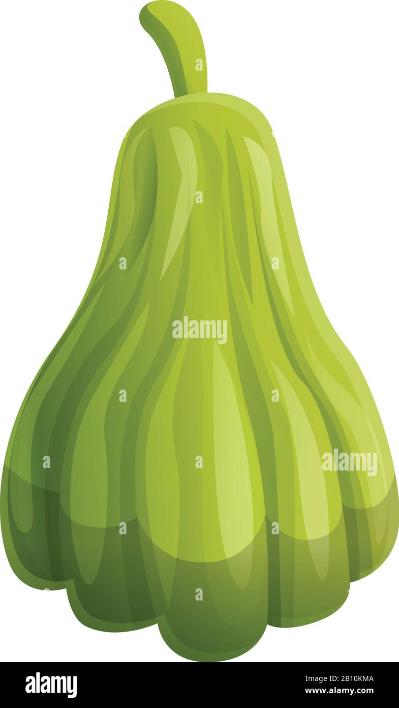 Raw chayote icon. Cartoon of raw chayote vector icon for web design ...