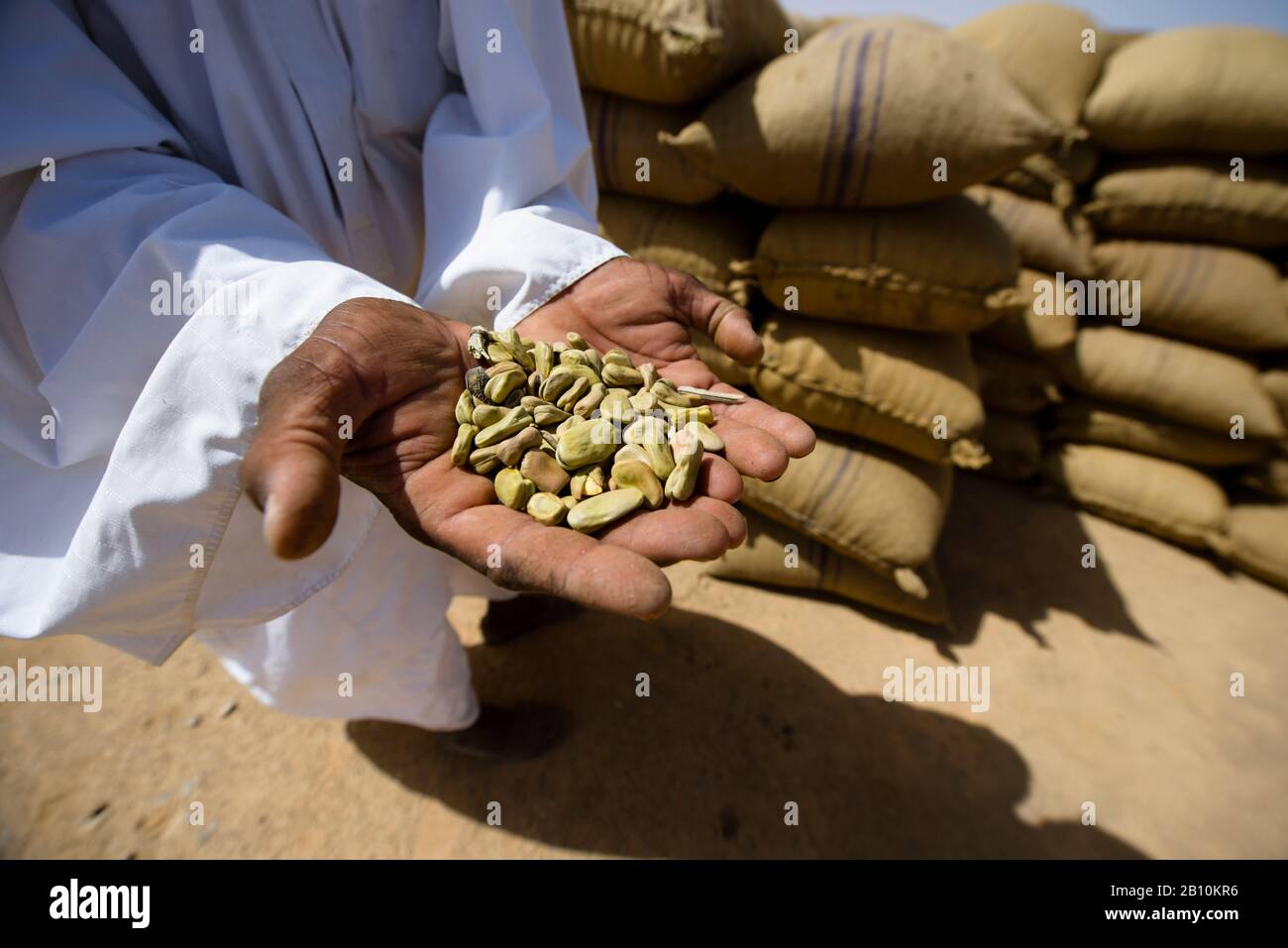 Field beans, called fuul, Sahara, Sudan Stock Photo - Alamy