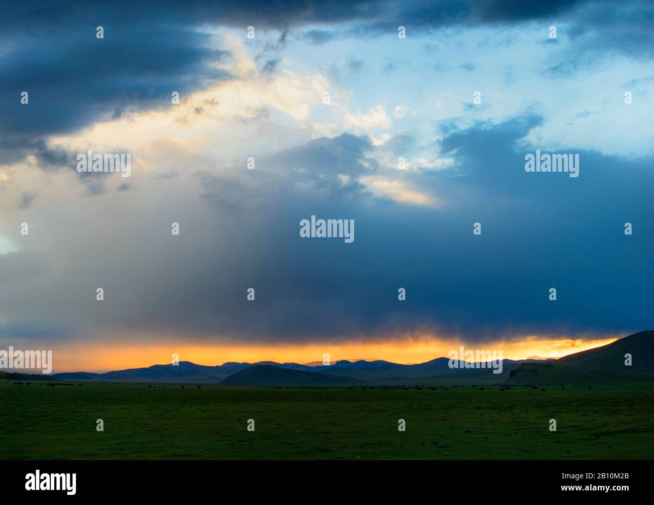 Sunset in the Mongolian steppe, Mongolia Stock Photo - Alamy