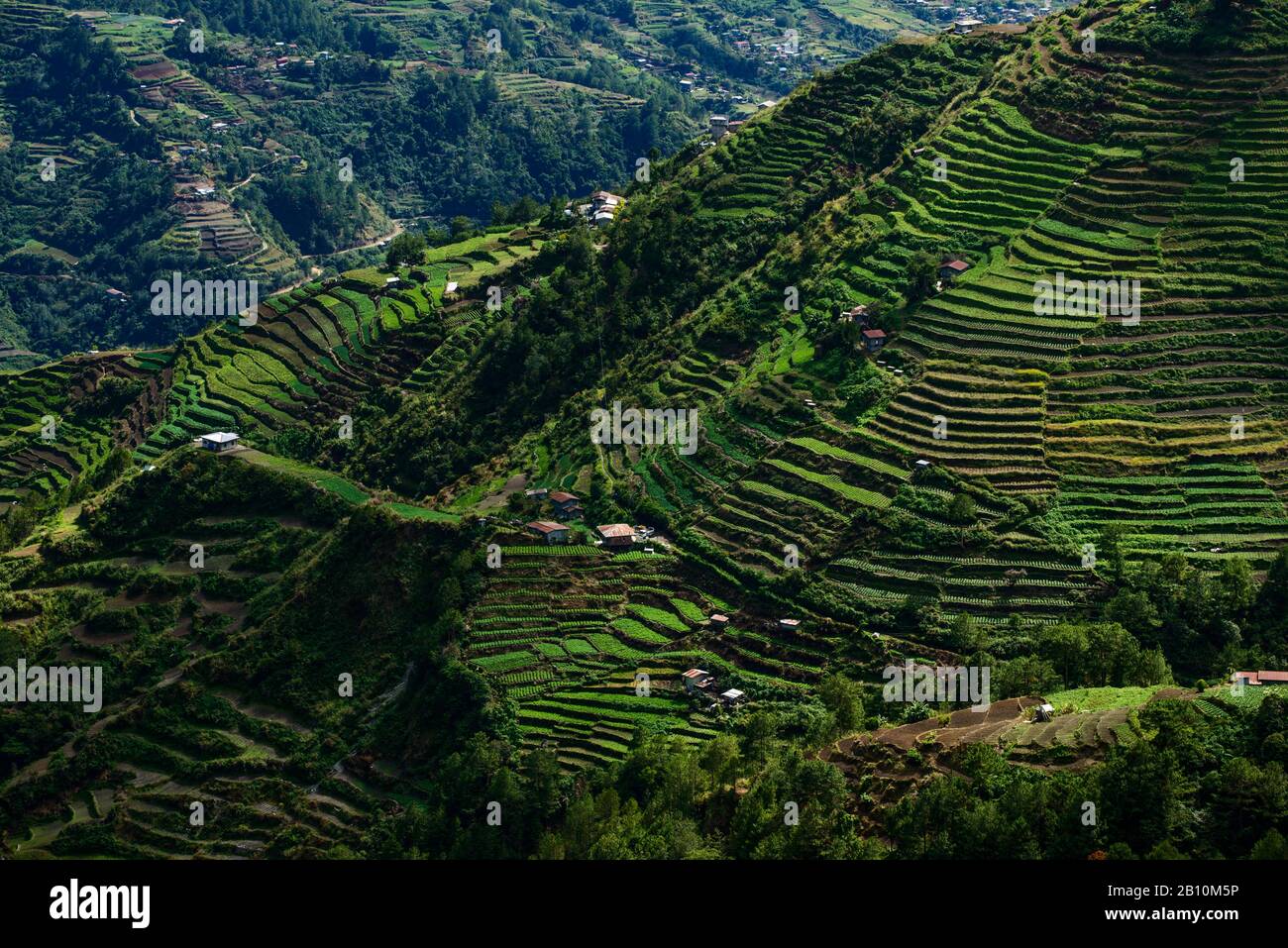 Rice terraces in the Cordilleras, north of Luzon, Philippines Stock ...