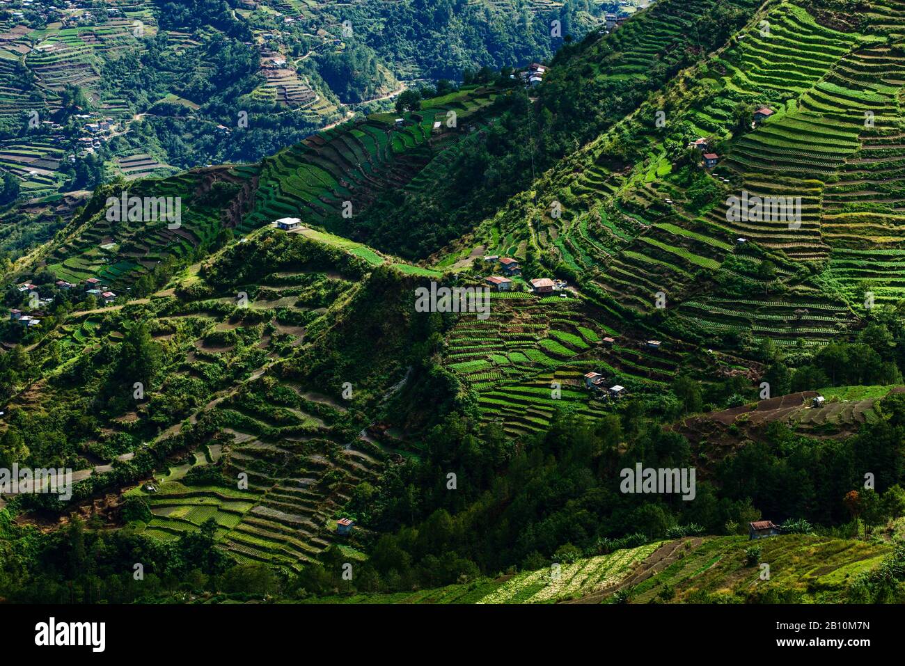 Rice terraces in the Cordilleras, north of Luzon, Philippines Stock ...