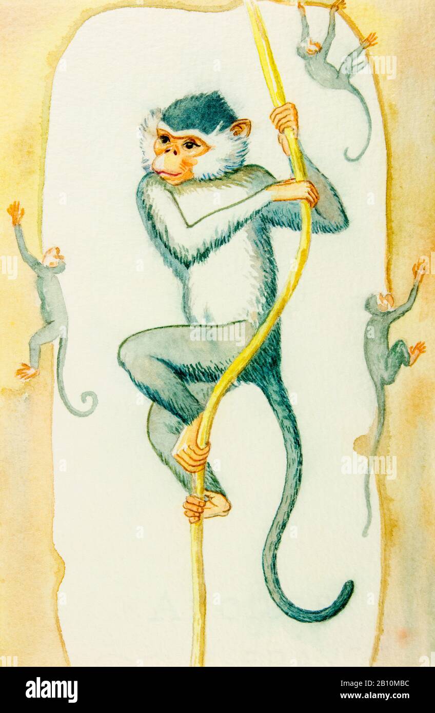 Watercolor illustration lovely cartoon of monkey show and acting Stock ...