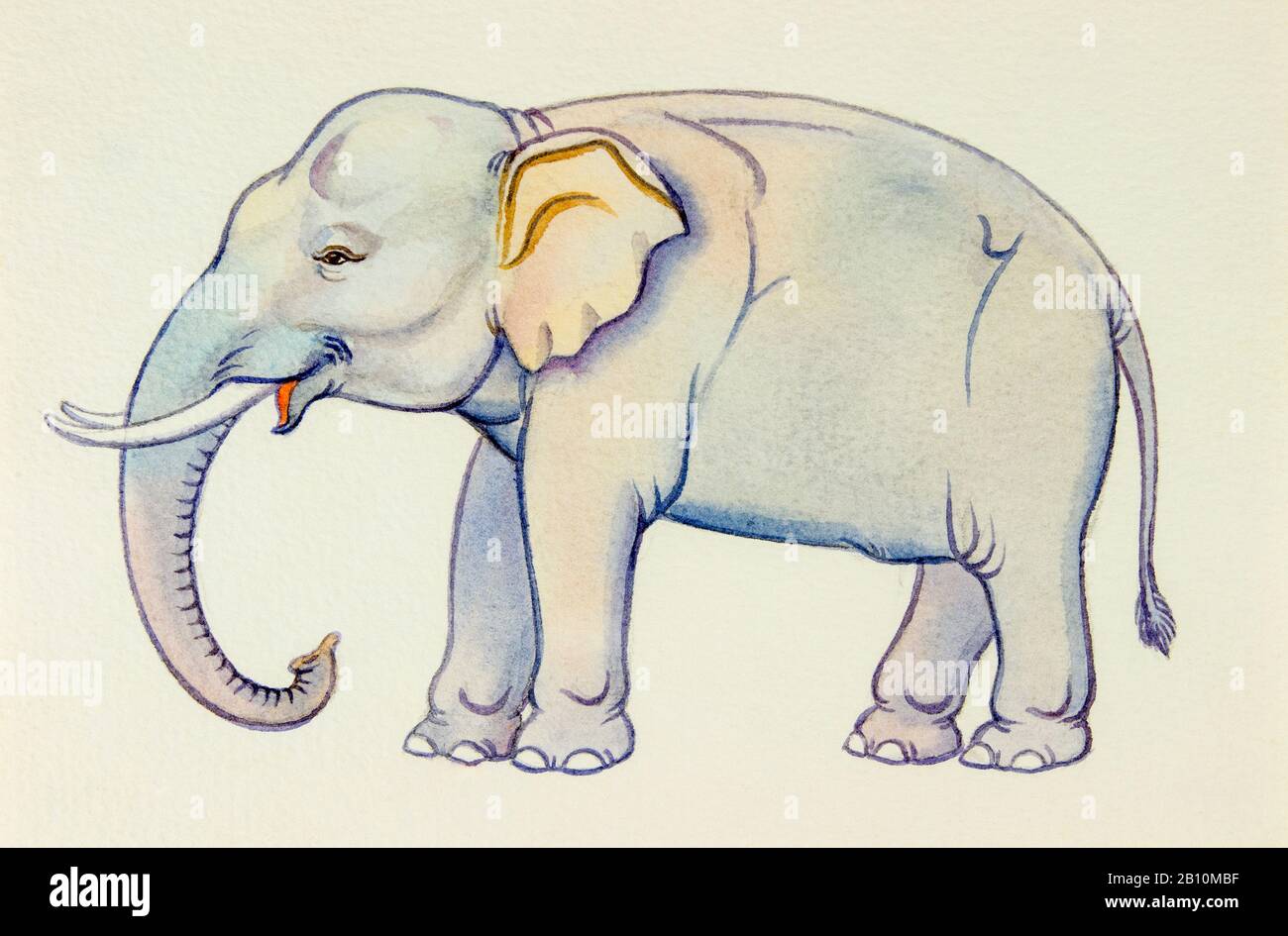 White Elephant Painting